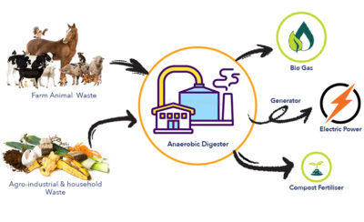 Biogas; The Process - Grants Bio-Tech Limited